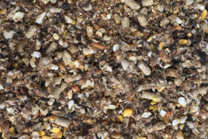 Cattle Feed - Atlas Feed Mills